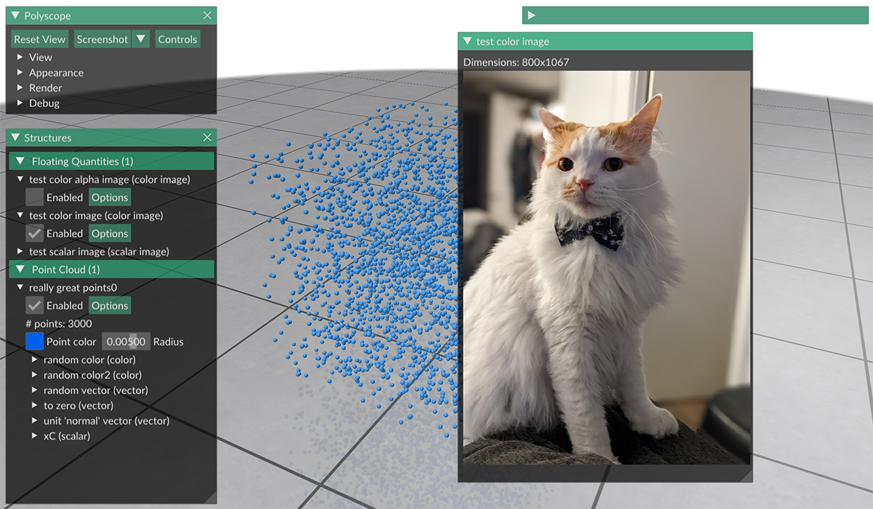 Images - Polyscope - Python
